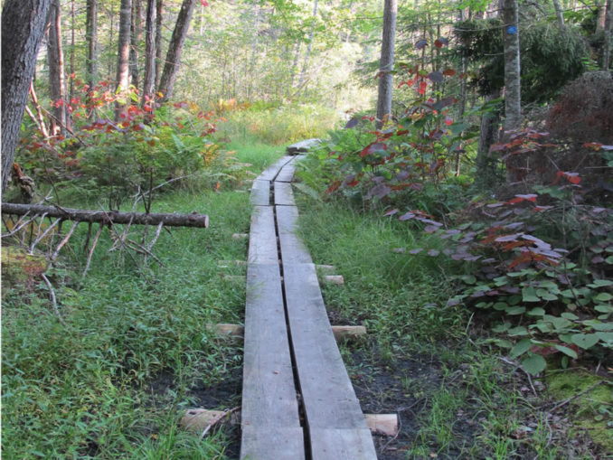 Plan Your Hike – Northville-Lake Placid Chapter of ADK